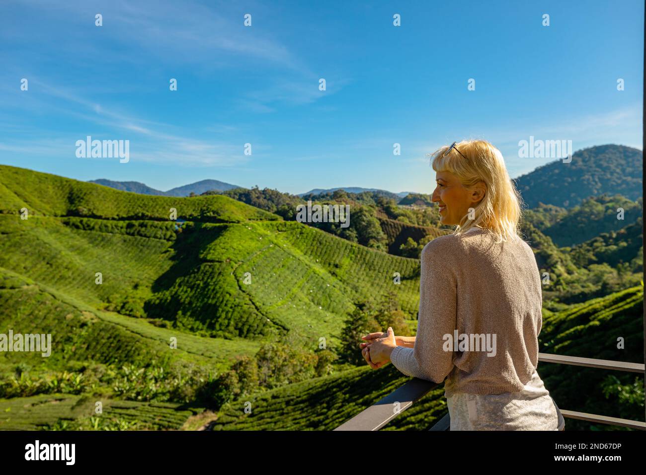 Tourist woman looking scenic views on terraced tea fields of Cameron ...