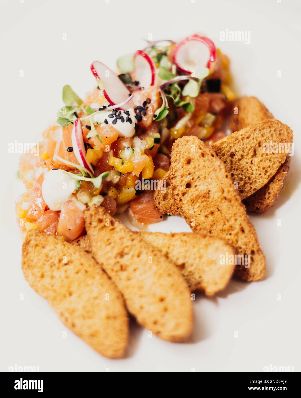 Gourmet salmon ceviche dish with whole wheat toast Stock Photo - Alamy
