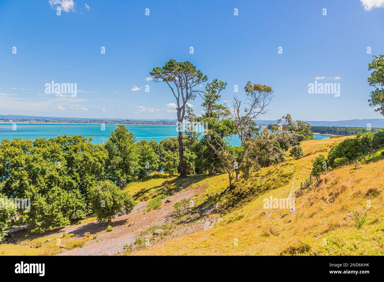 Matakana coastal new zealand hi-res stock photography and images - Alamy
