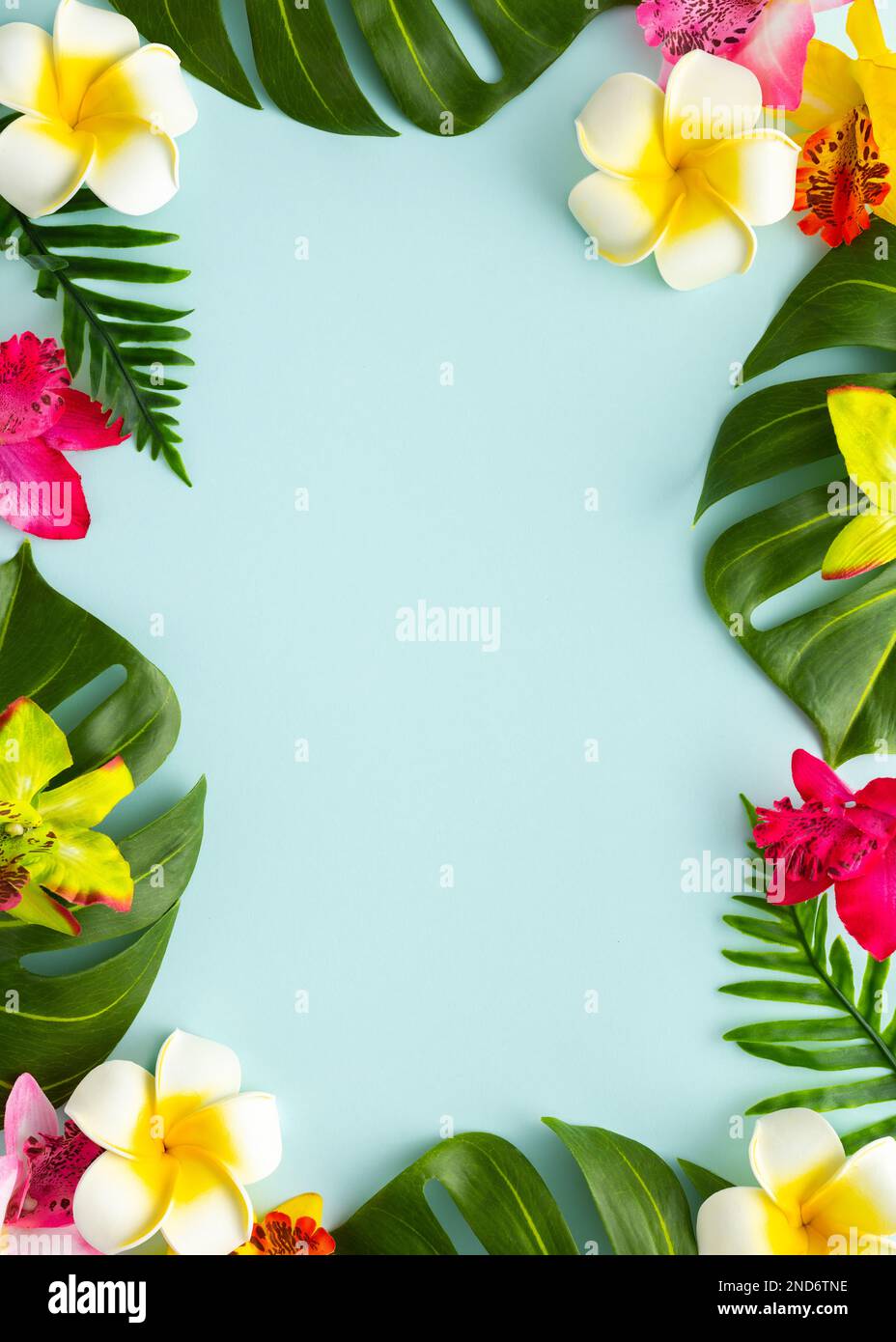 Summer background with tropical orchid flowers and green tropical palm ...