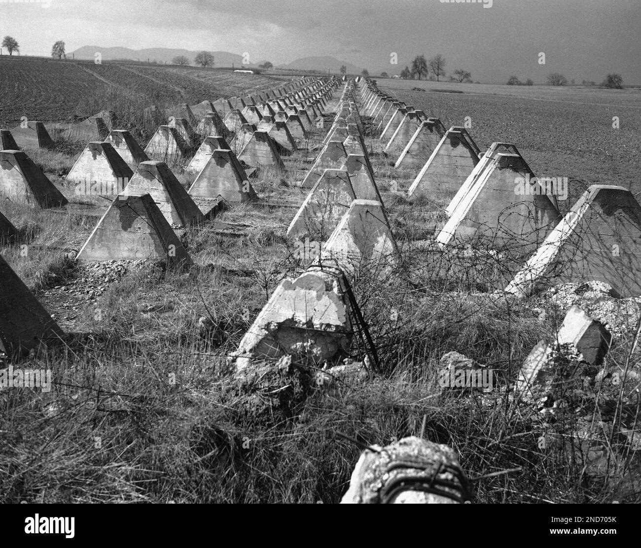 These concrete tank traps of the former German Siegfried Line are ...