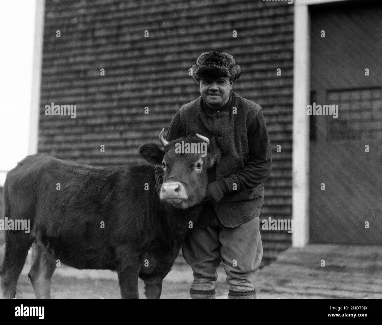 George Herman Babe Ruth with his pet calf “Flossy” on his farm at ...