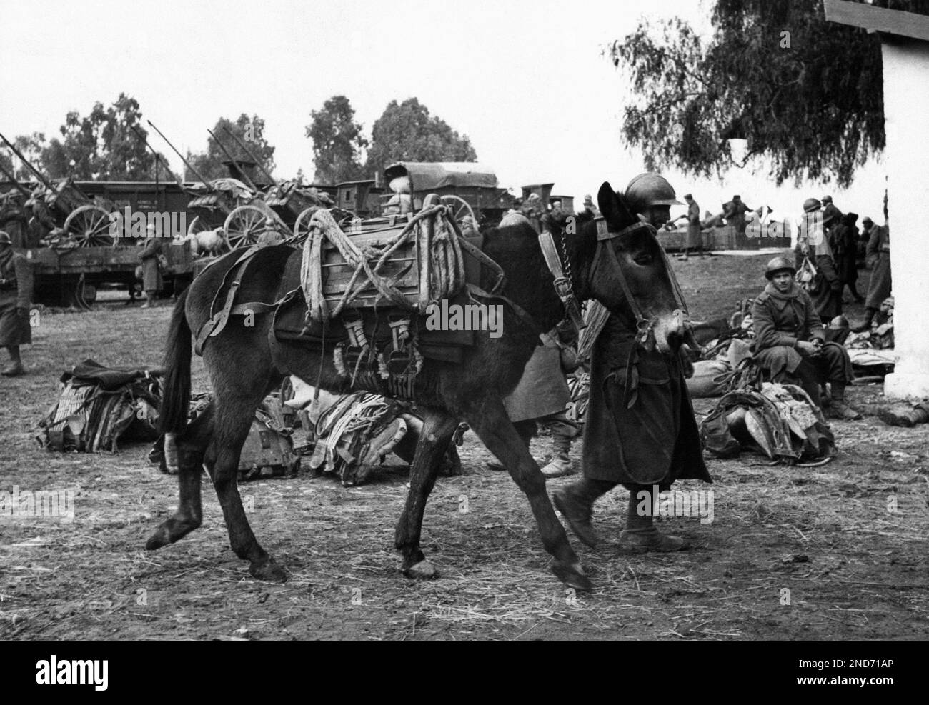 French troops with their horses and mules arrive at a station on route ...