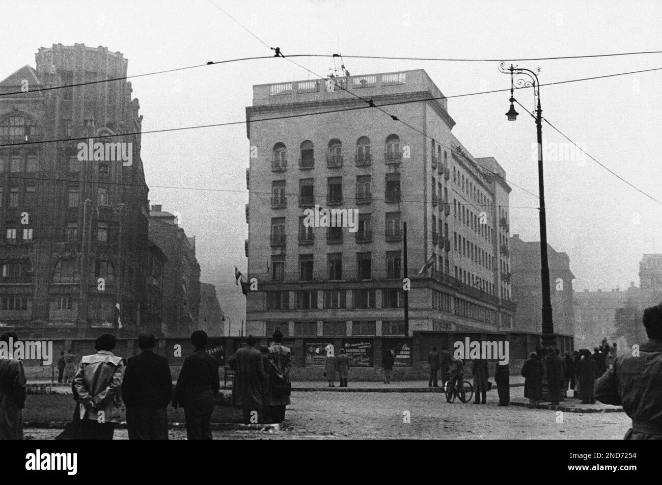 Hungarian flags without hated hammer and sickle emblem fly in Budapest ...