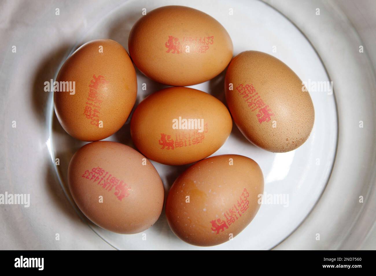 FILE - In this Aug. 24, 2010 file photo, eggs with the British Lion ...