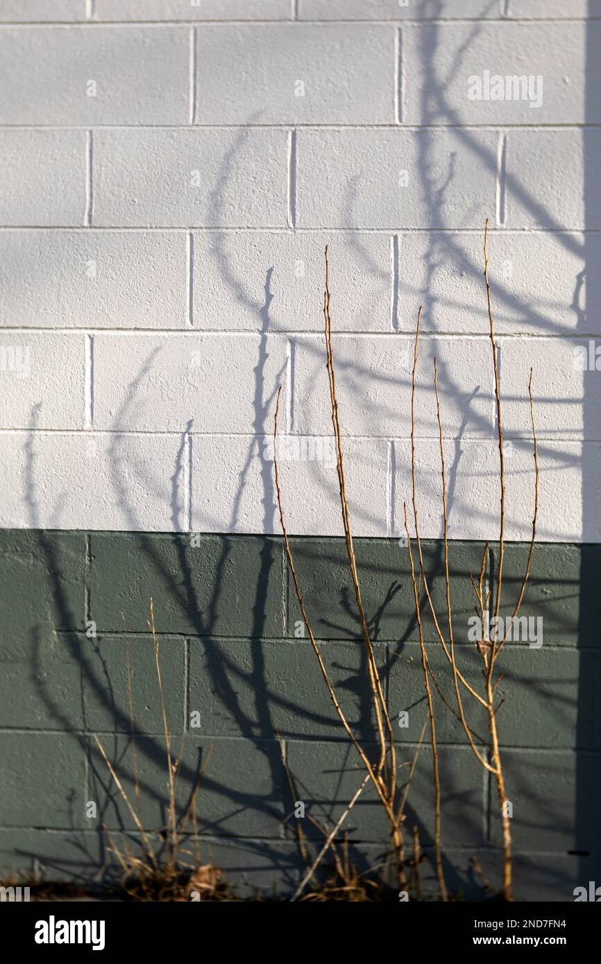 WA22974-00...WASHINGTON - Lines, shadows and reflections on an old ...