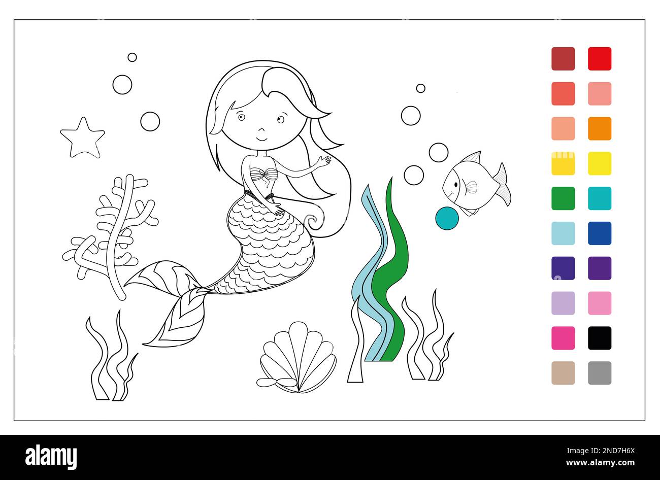 Beautiful mermaid and underwater world on white background ...