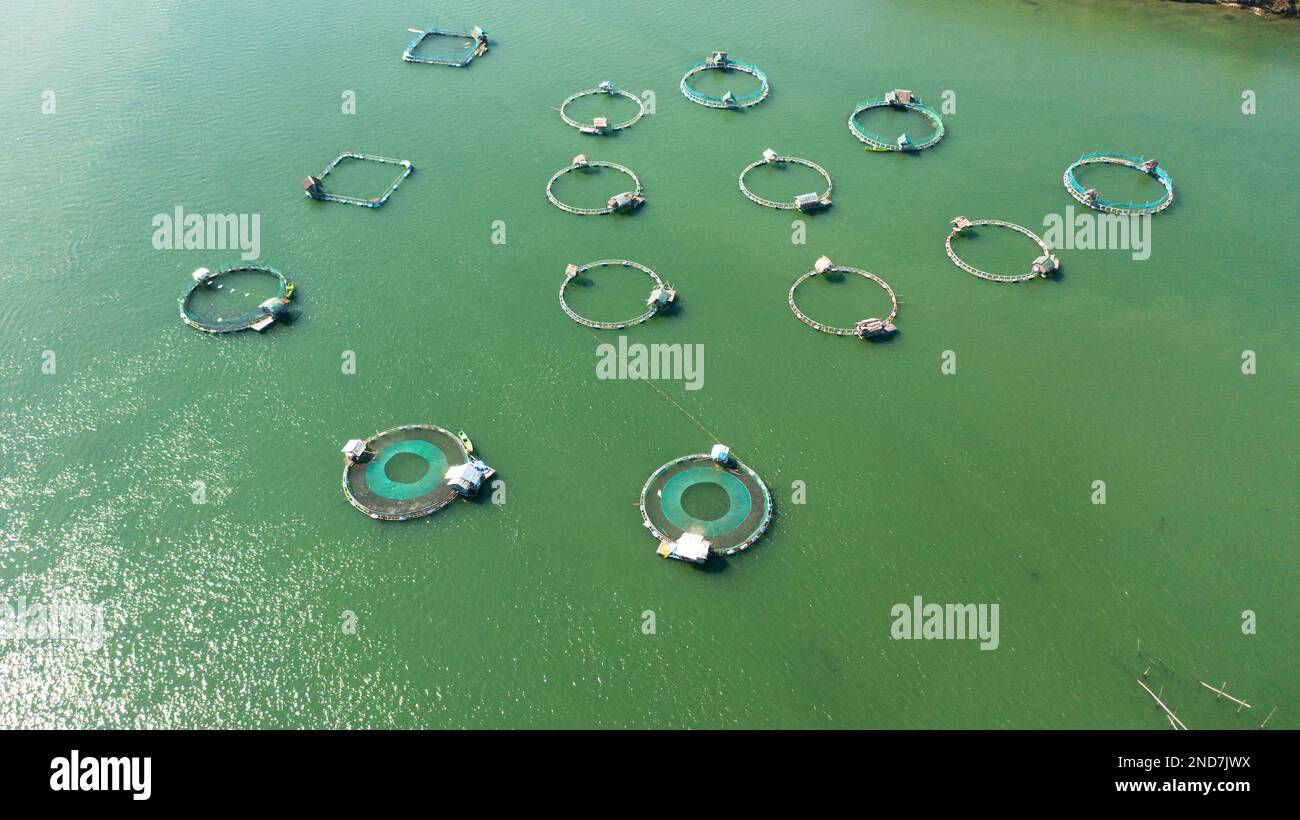 Farm about growing fish in the sea. Cages on a fish farm. Philippines ...