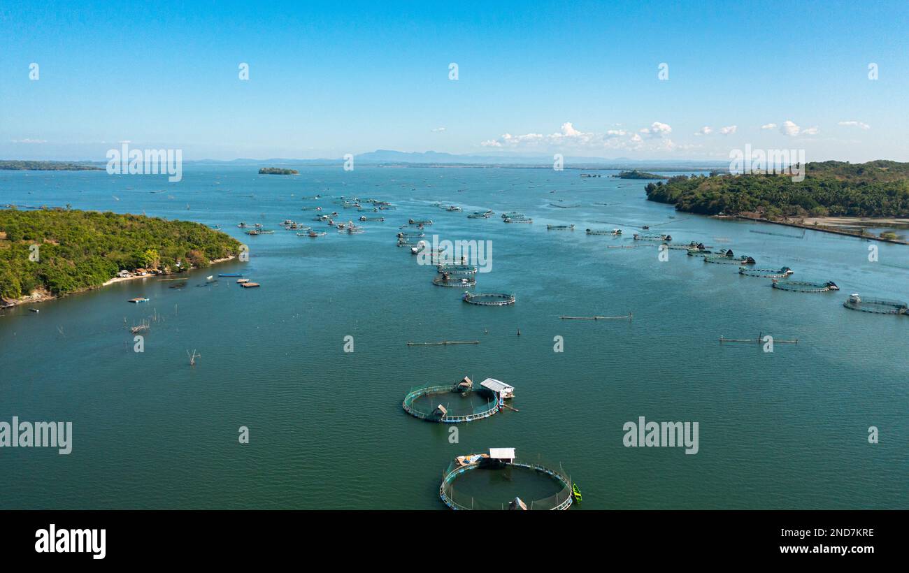 Fish farm with cages for fish and shrimp. Fish ponds for bangus ...