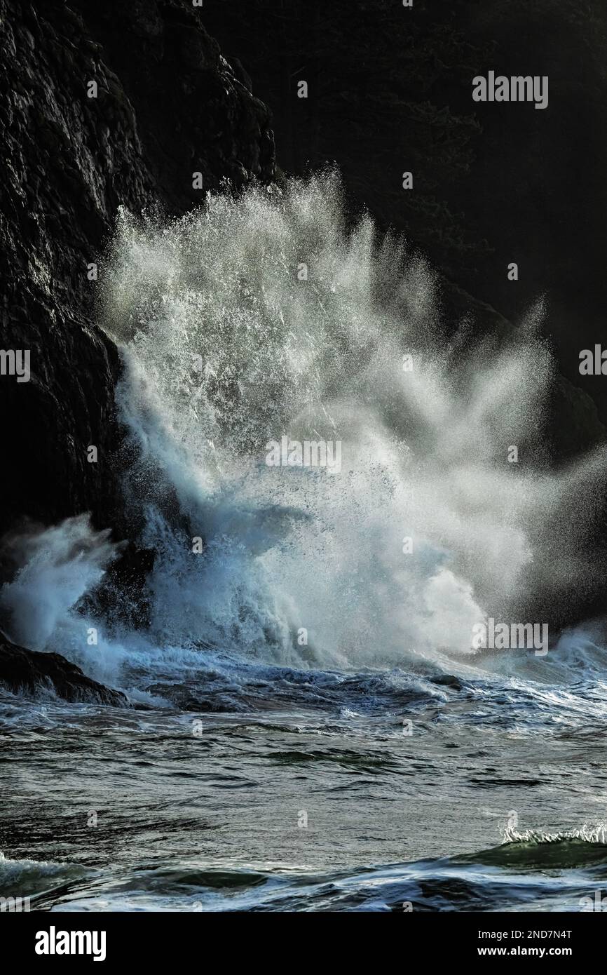 WA22990-00....WASHINGTON - Wave splashing against the cliffs of Cape ...