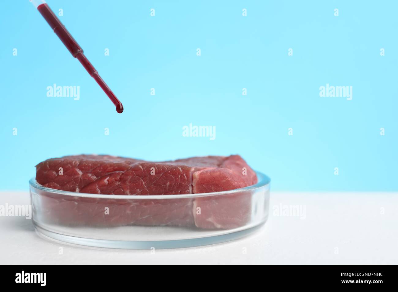 Dripping red liquid onto sample of lab grown meat on white table. Space ...