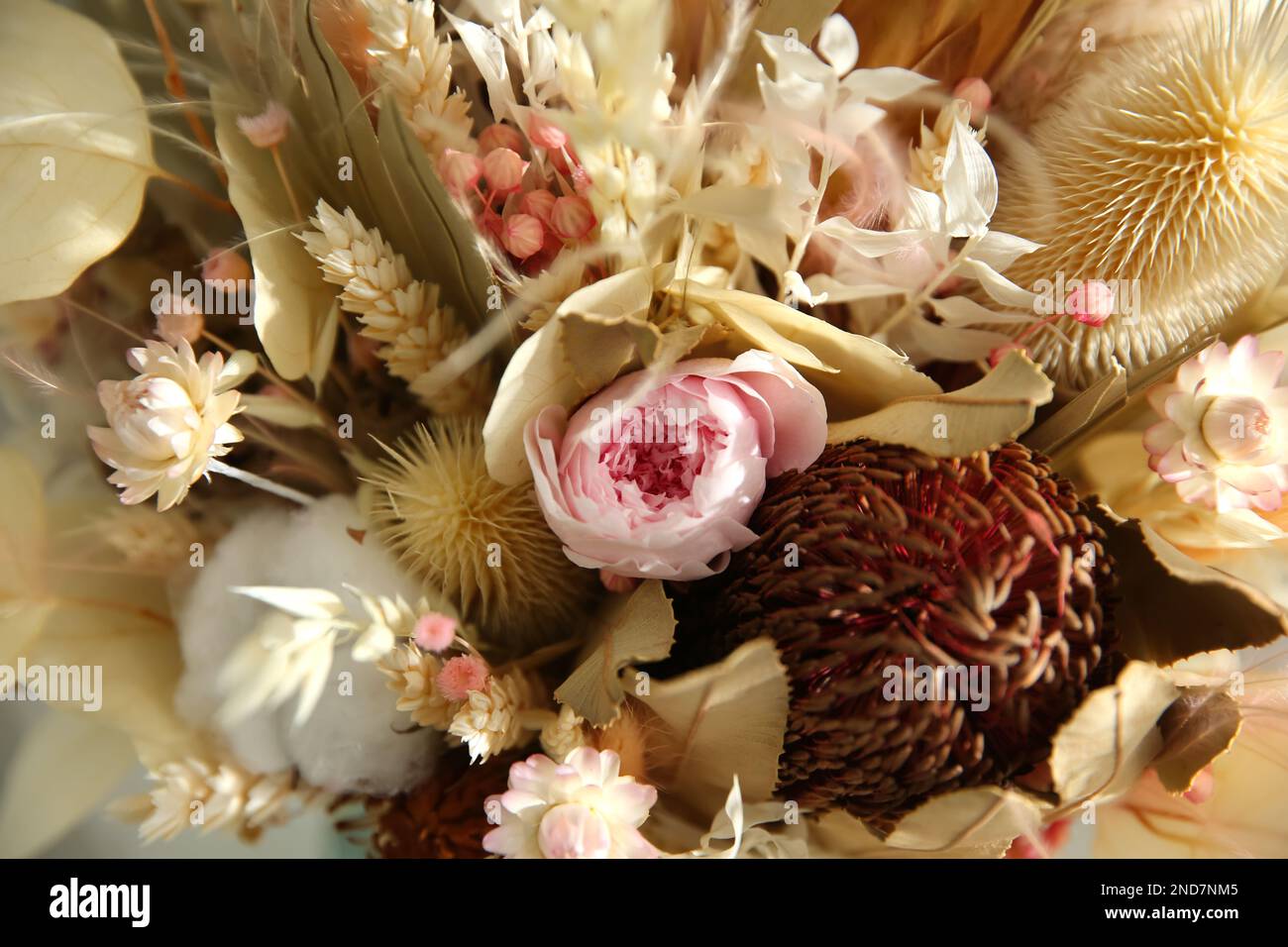 Beautiful elegant dried flower bouquet, closeup view Stock Photo - Alamy