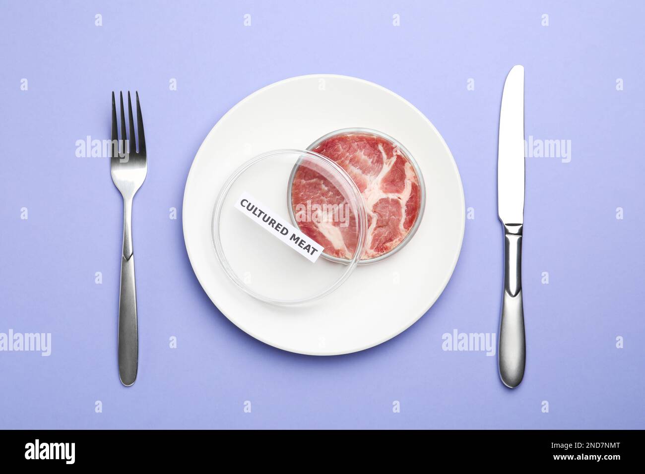 Cultured meat in Petri dish served on pale purple background, flat lay ...