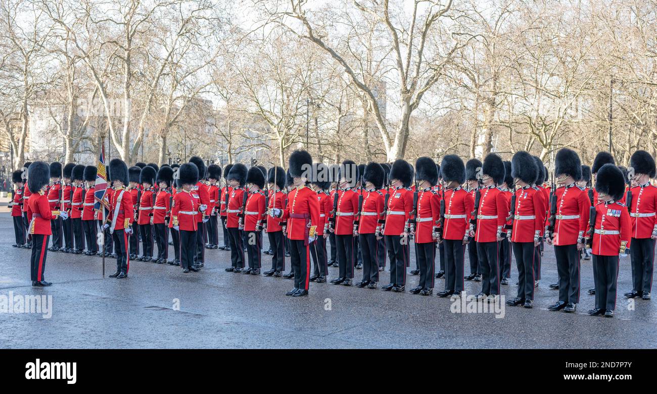 Major scots guards hi-res stock photography and images - Alamy