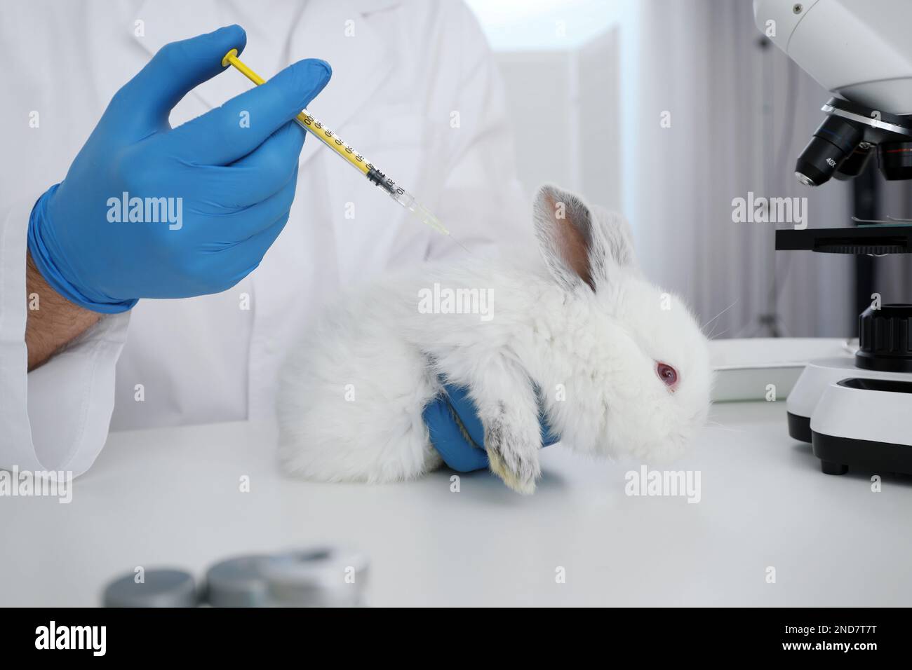 Scientist with syringe and rabbit in chemical laboratory, closeup ...