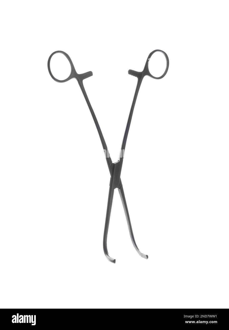 Surgical forceps on white background. Medical instrument Stock Photo ...