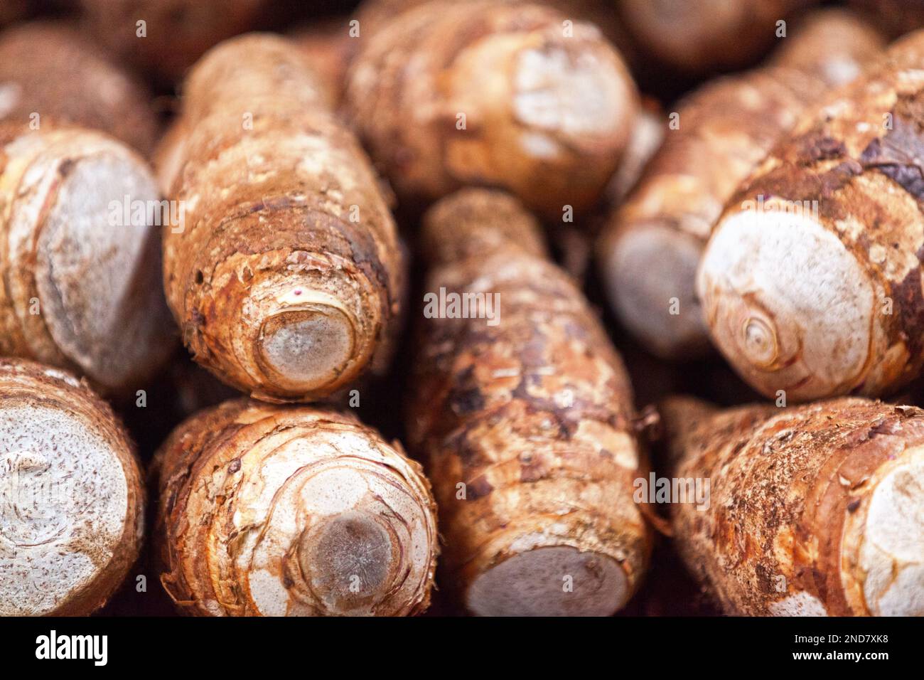 Full frame close-up on a stack of taro on a market stall Stock Photo ...
