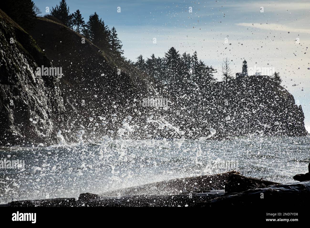 WA23000-00...WASHINGTON - Spray from a wave hitting the driftlogs along ...