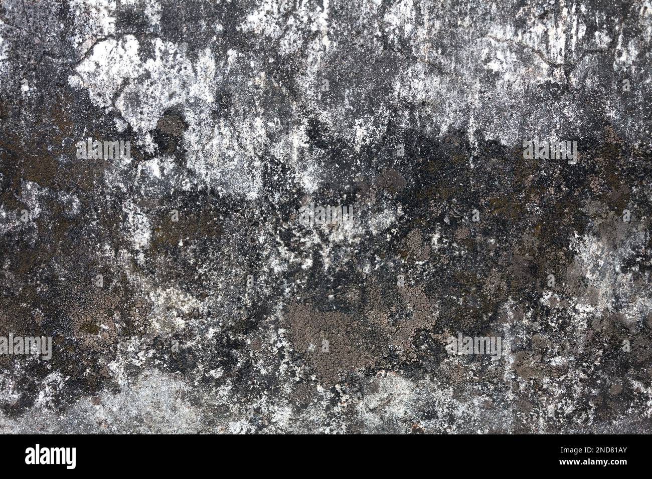 Full frame close-up on an old cement wall with cracked paint and traces ...