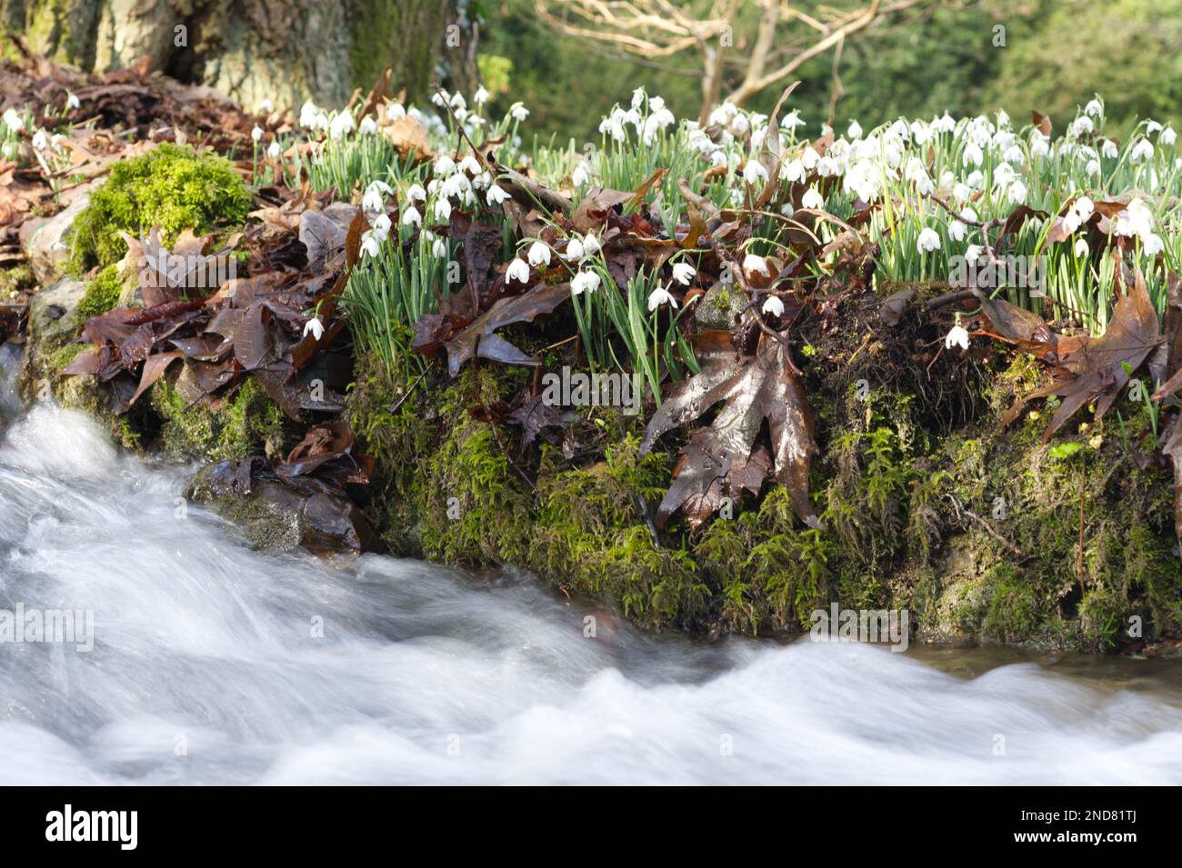 Fast moving stream of water hi-res stock photography and images - Alamy
