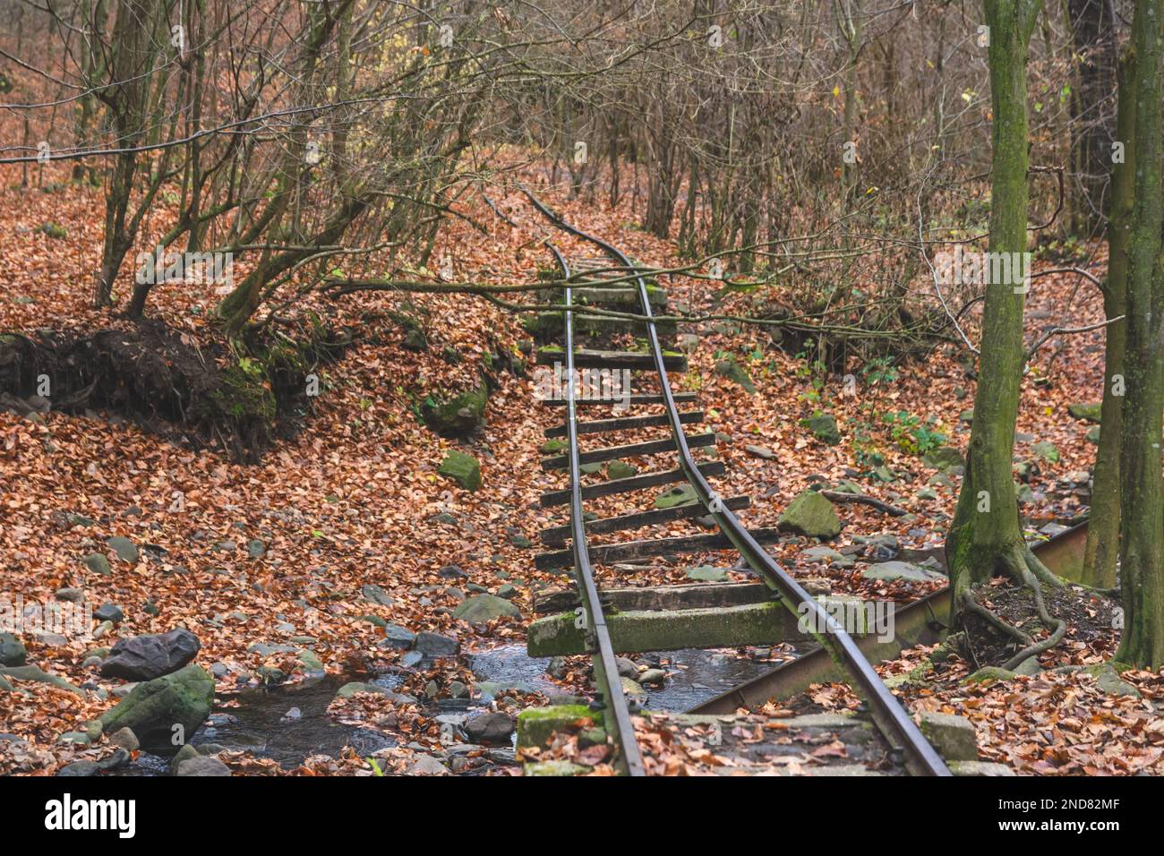 Wild landscape, damaged light rail track in the forest, Kemence ...