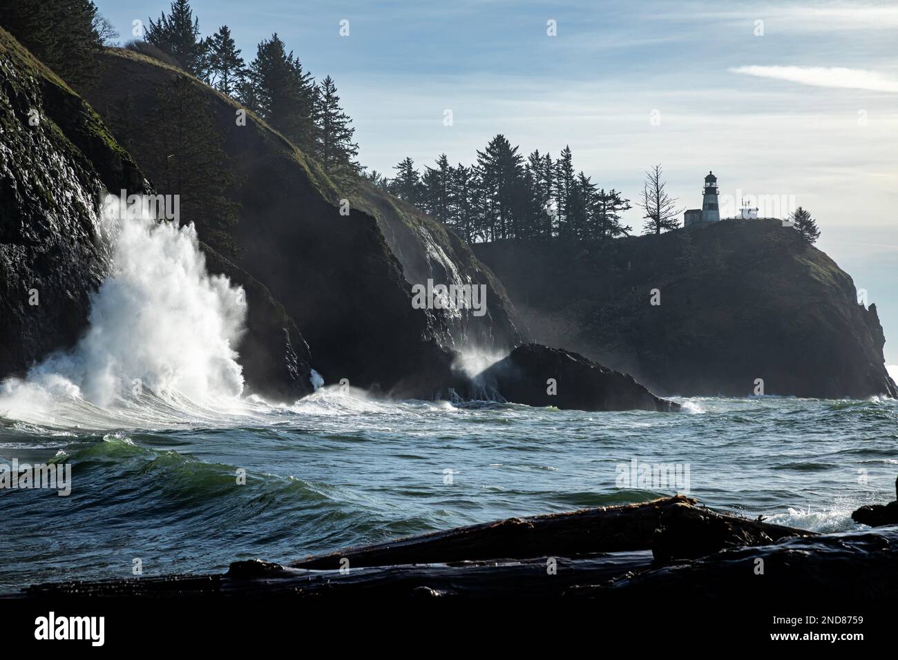 WA23006-00...WASHINGTON - Waves crashing on the cliffs below Cape ...