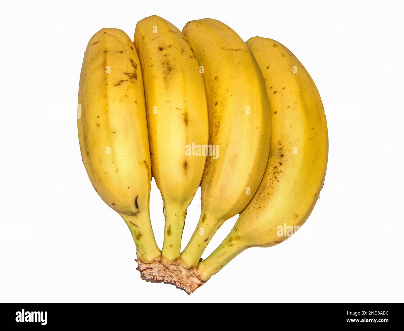 group of bananas isolated on white background Stock Photo - Alamy