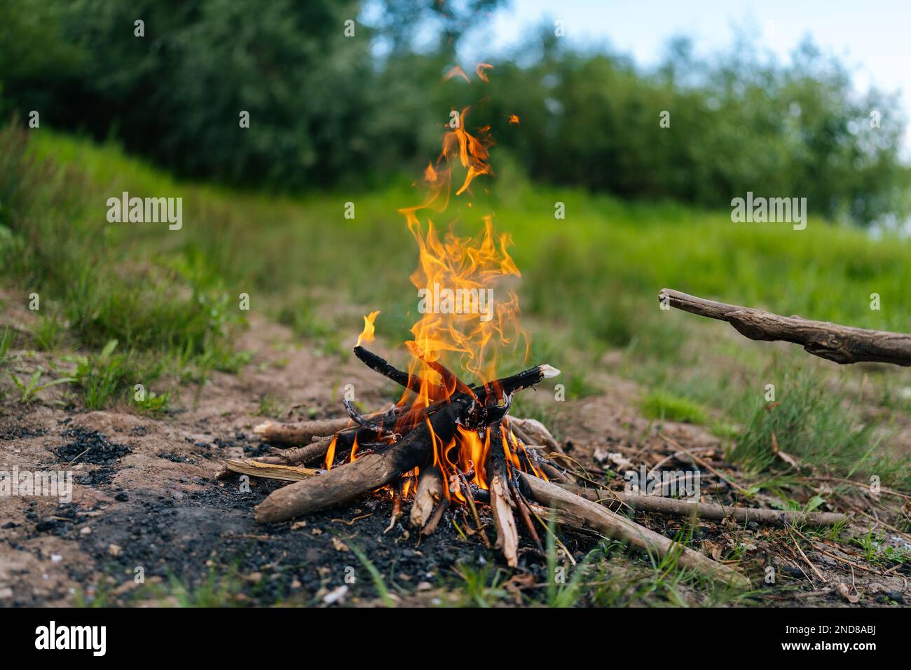 Closeup of burning brushwood campfire on forest ground on blurred ...