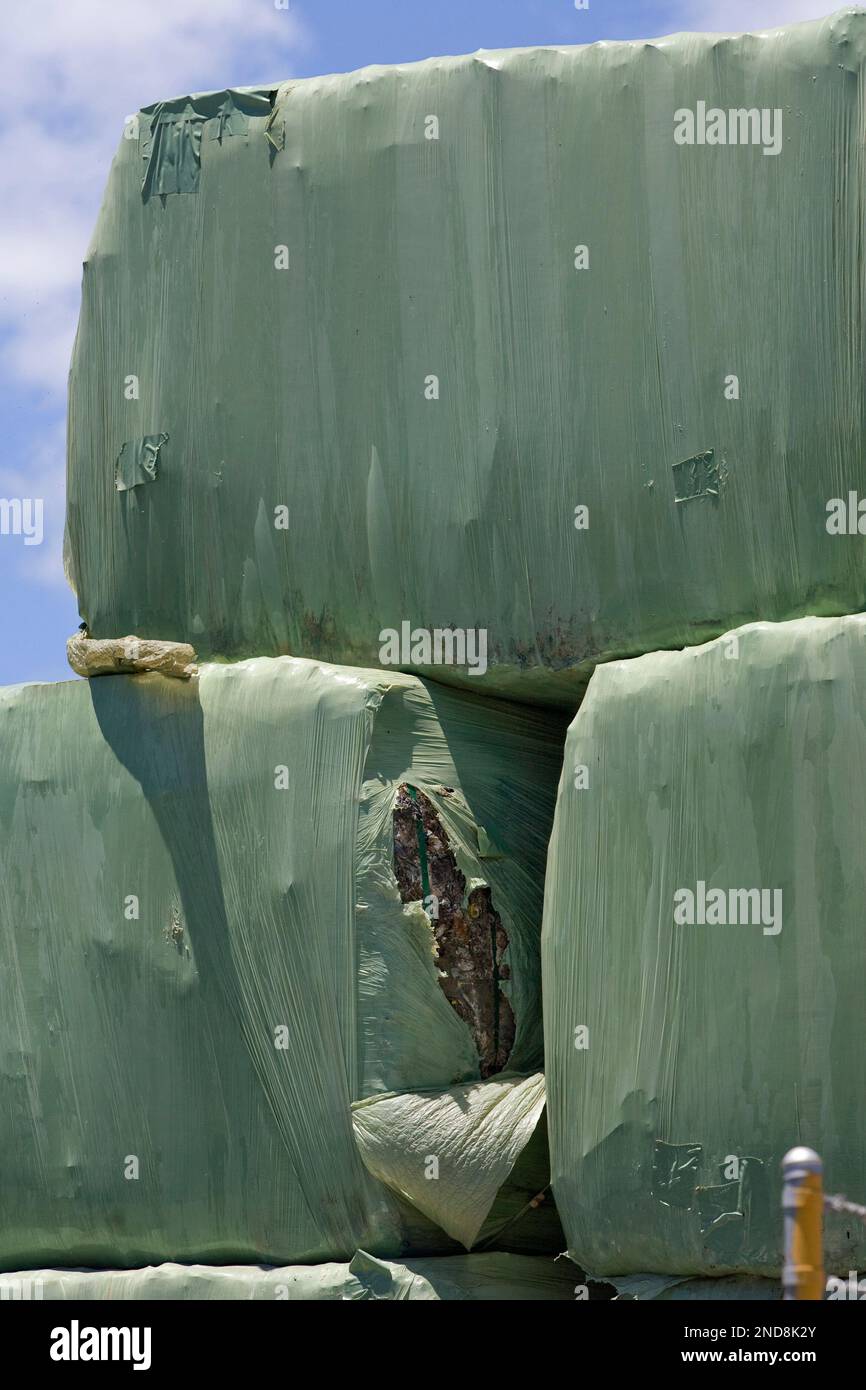 In this Aug. 19, 2010 photo, bales of wrapped trash sit at the Hawaiian ...