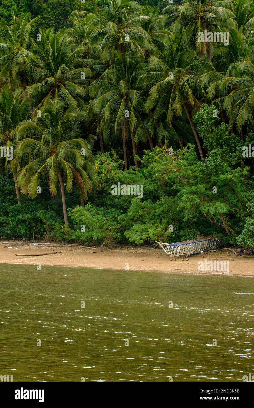 This photo captures the essence of the Philippines, with a traditional ...