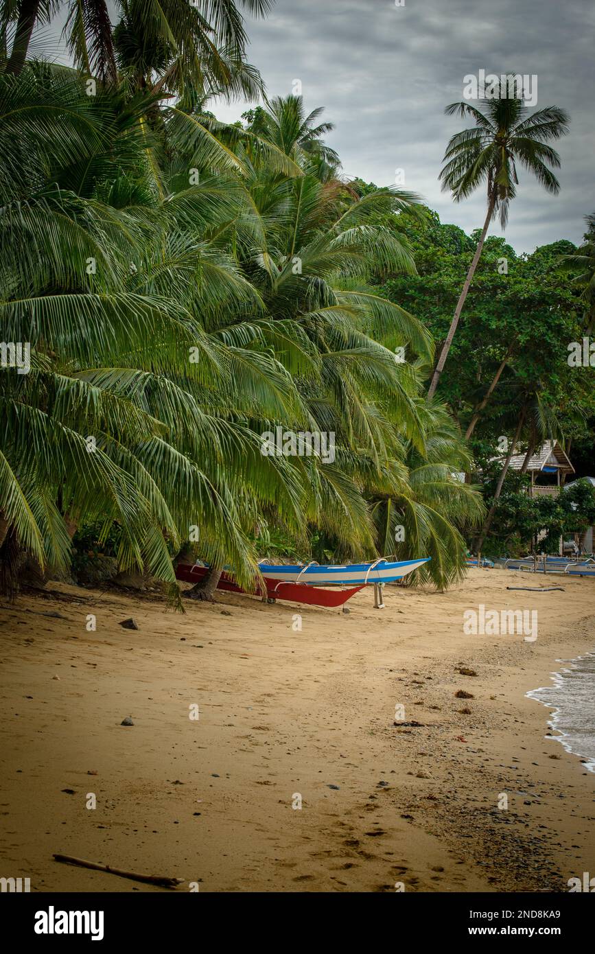 This photo captures the essence of the Philippines, with a traditional ...