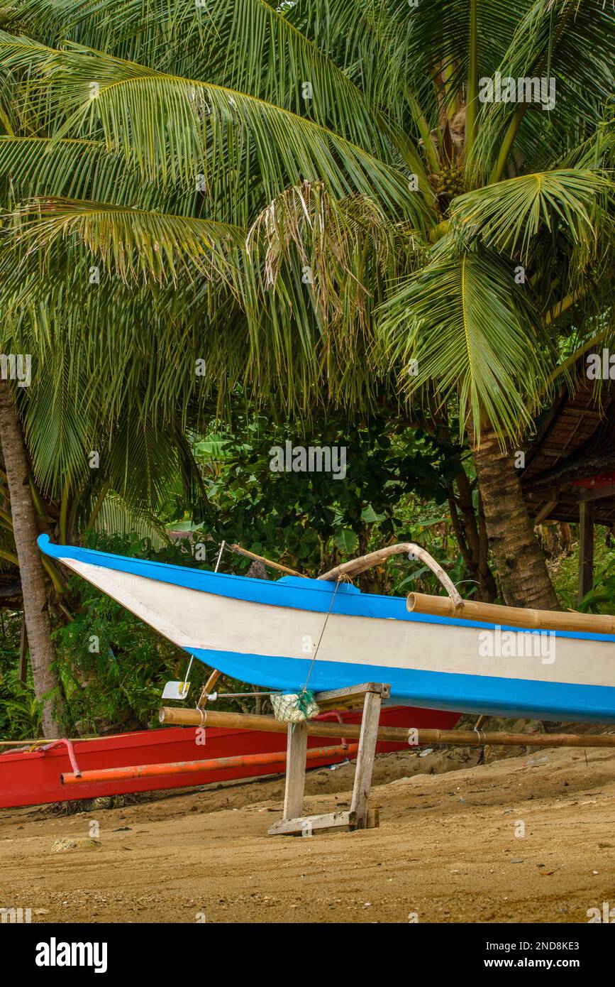 This photo captures the essence of the Philippines, with a traditional ...