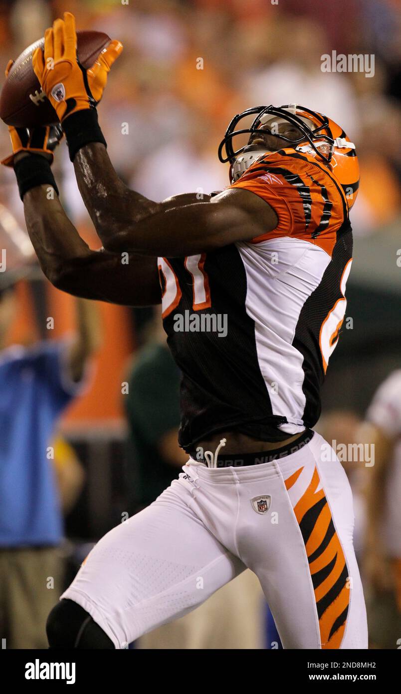 Cincinnati Bengals receiver Terrell Owens catches a 43-yard pass ...