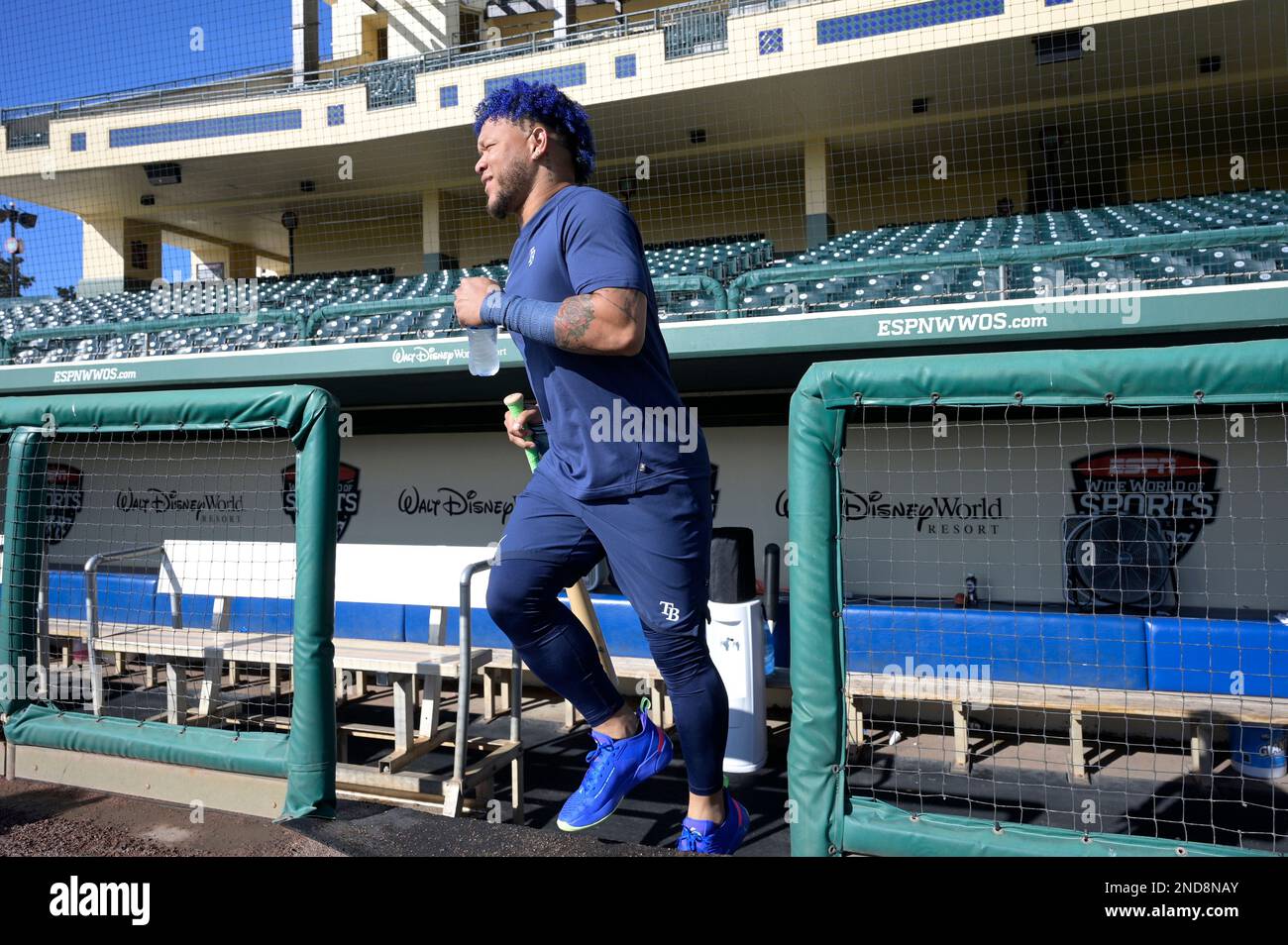 Tampa Bay Rays outfielder Harold Ramirez heads to the fields during the ...
