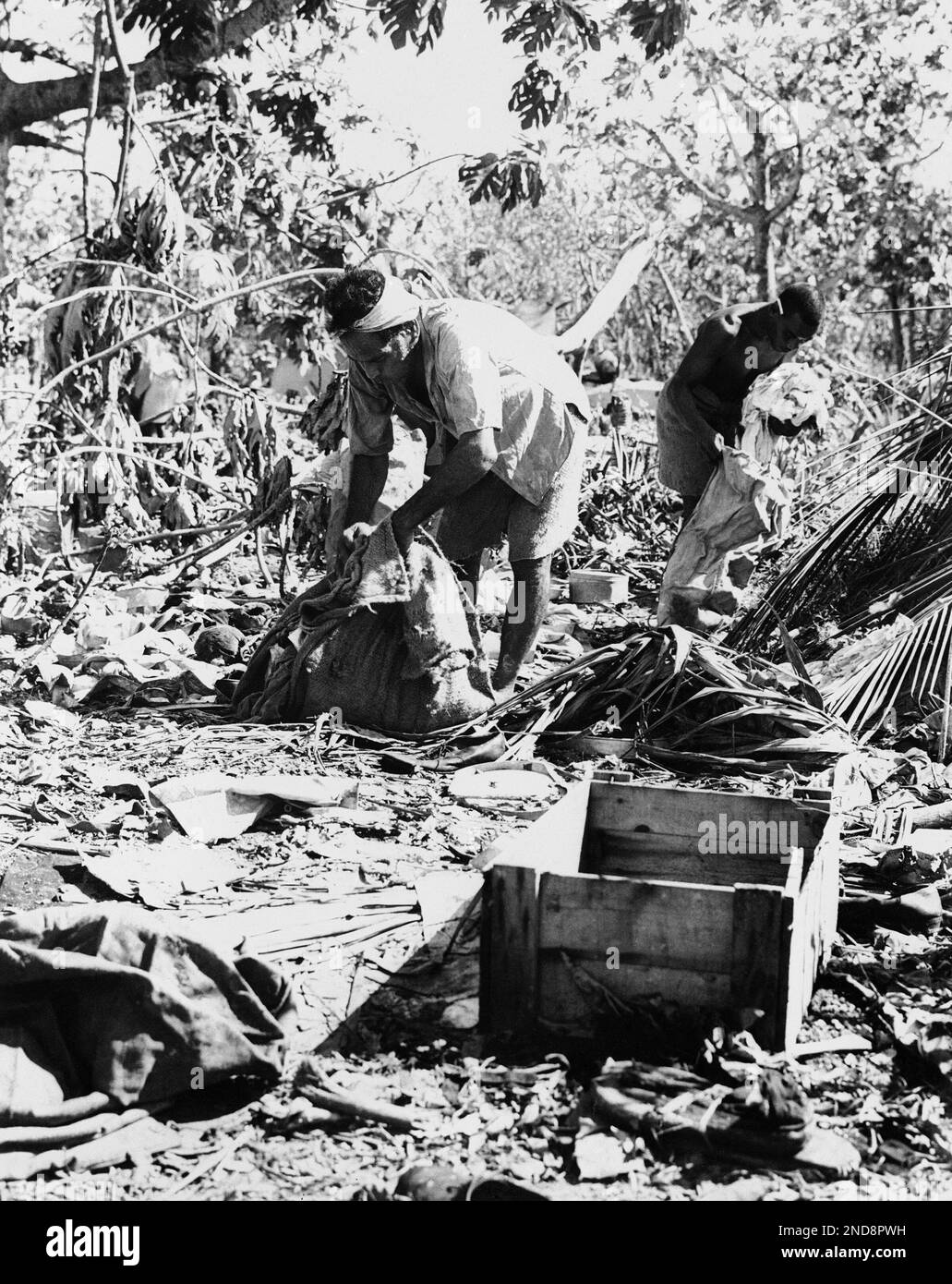 After United States forces had captured Makin Atoll, Gilbert Islands ...