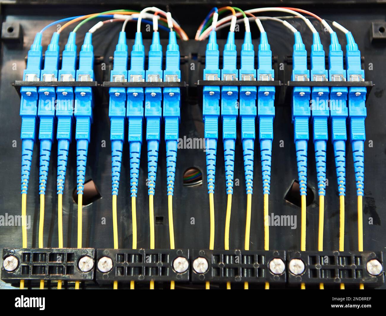 Fiber optic connectors cable in rack box Stock Photo - Alamy