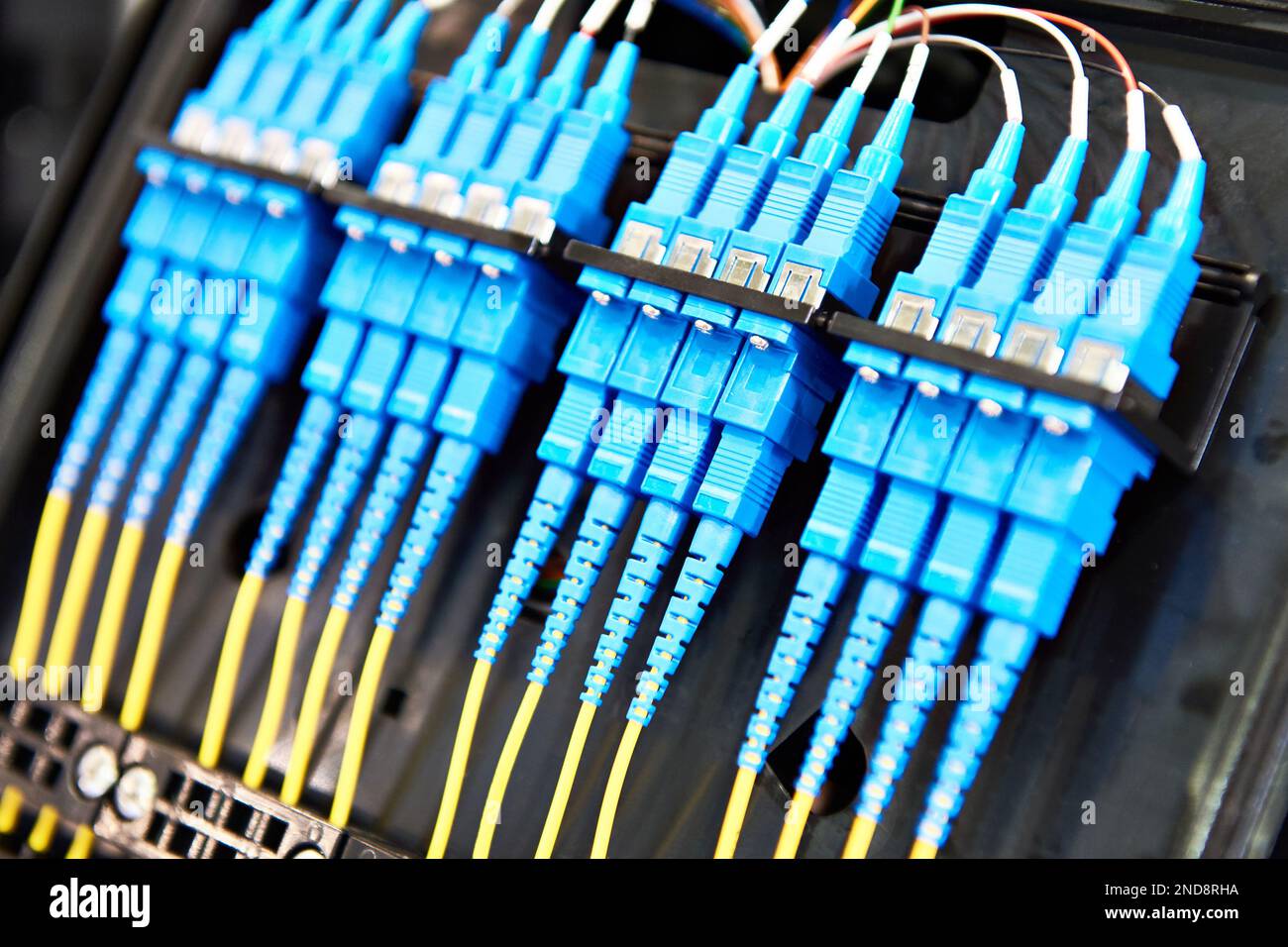 Fiber optic connectors cable in rack box Stock Photo - Alamy