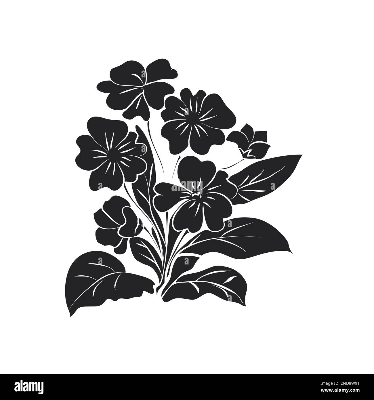 Primrose Illustration On White Background Black Silhouette Of Primula On White Background