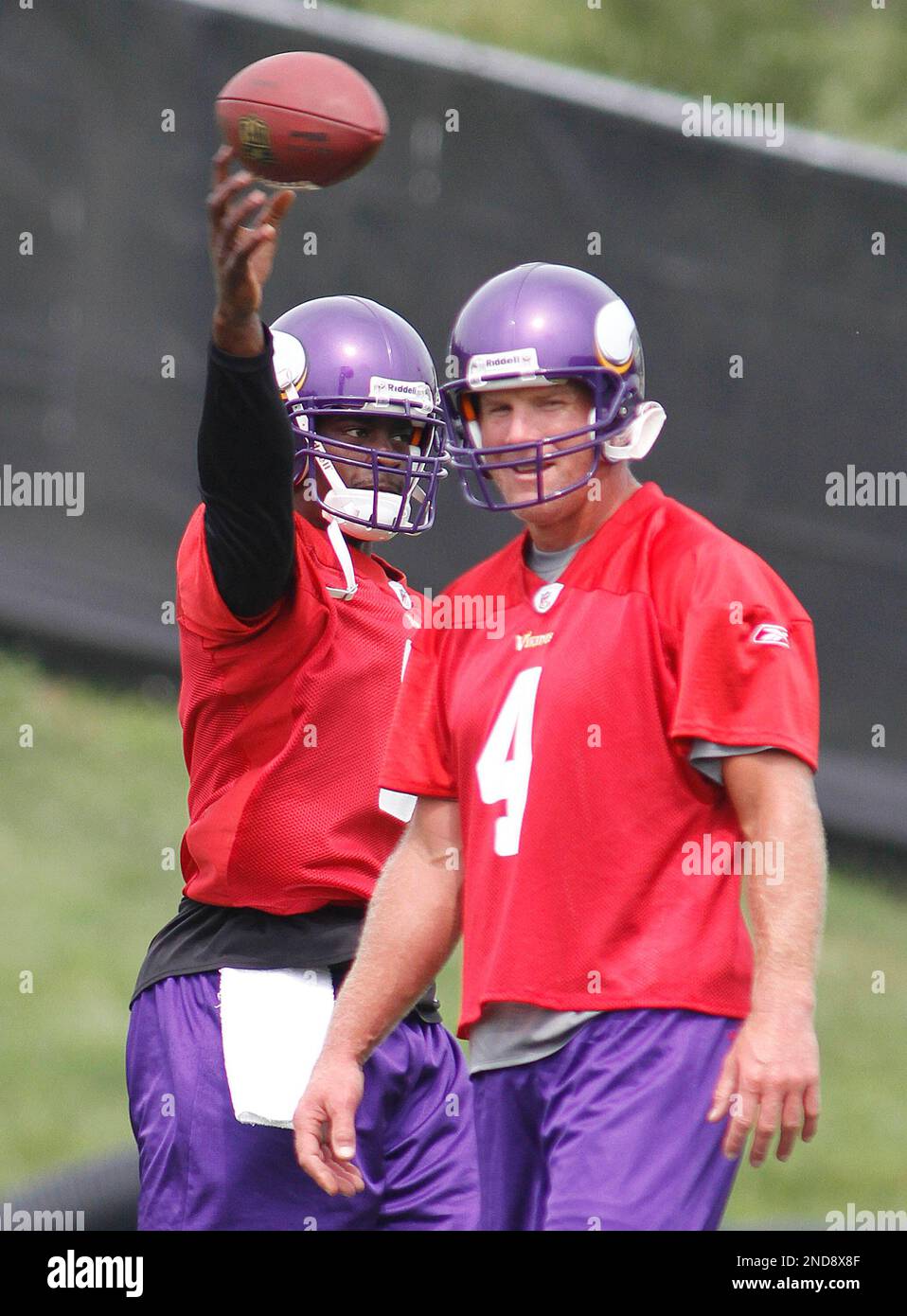 Minnesota Vikings quarterbacks Brett Favre, right, and Tavaris Jackson ...