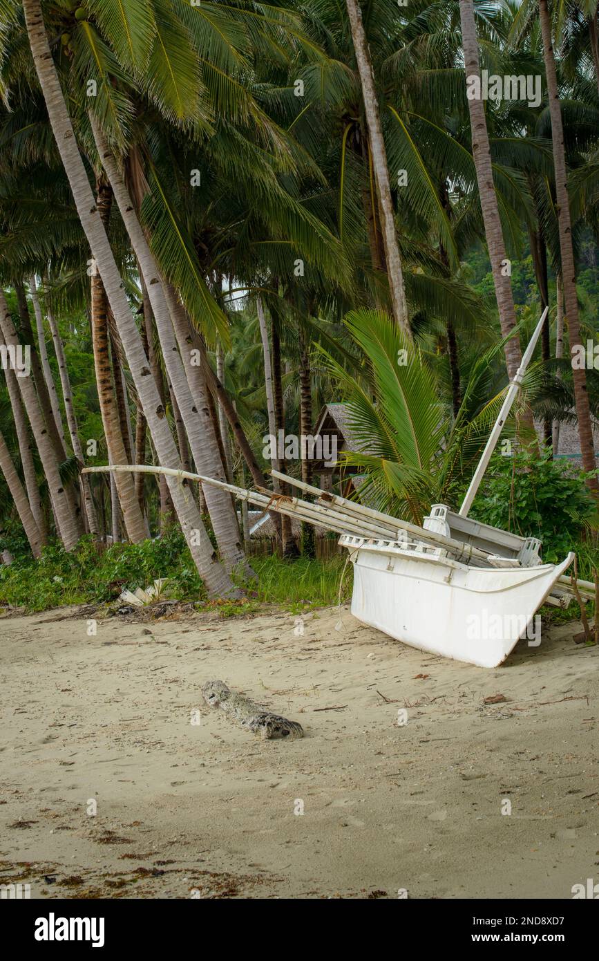 This photo captures the essence of the Philippines, with a traditional ...