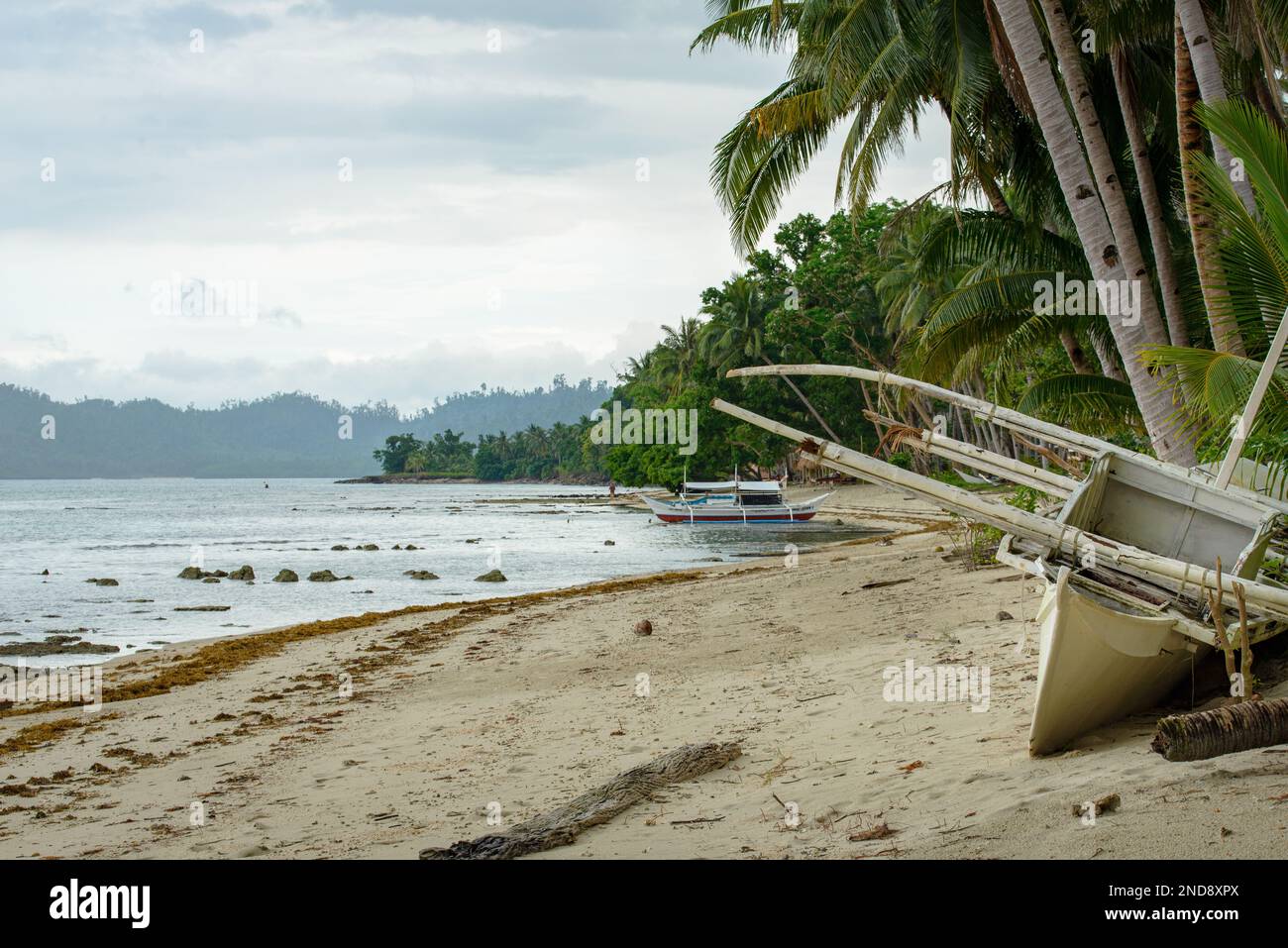 This photo captures the essence of the Philippines, with a traditional ...