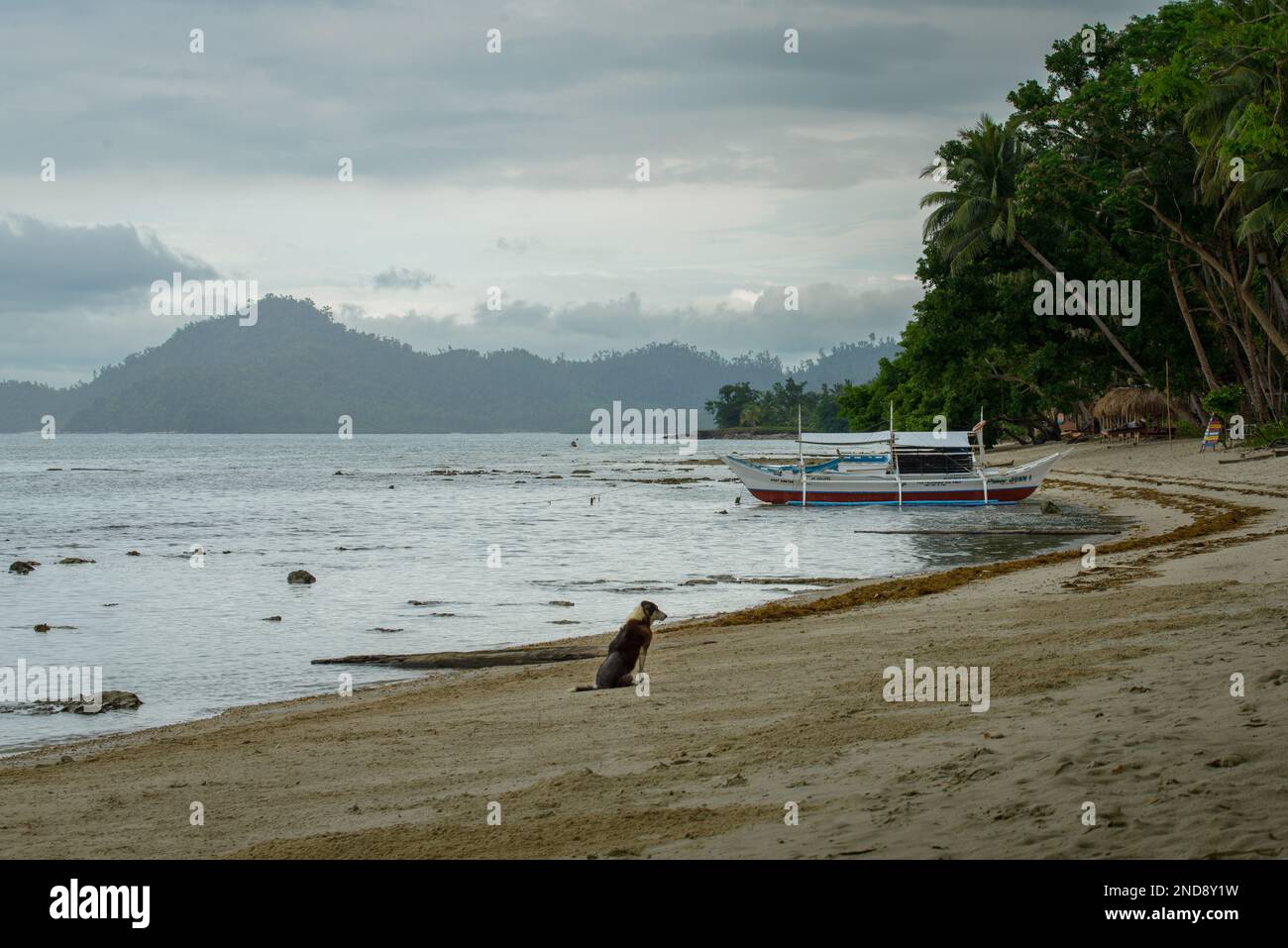 This photo captures the essence of the Philippines, with a traditional ...