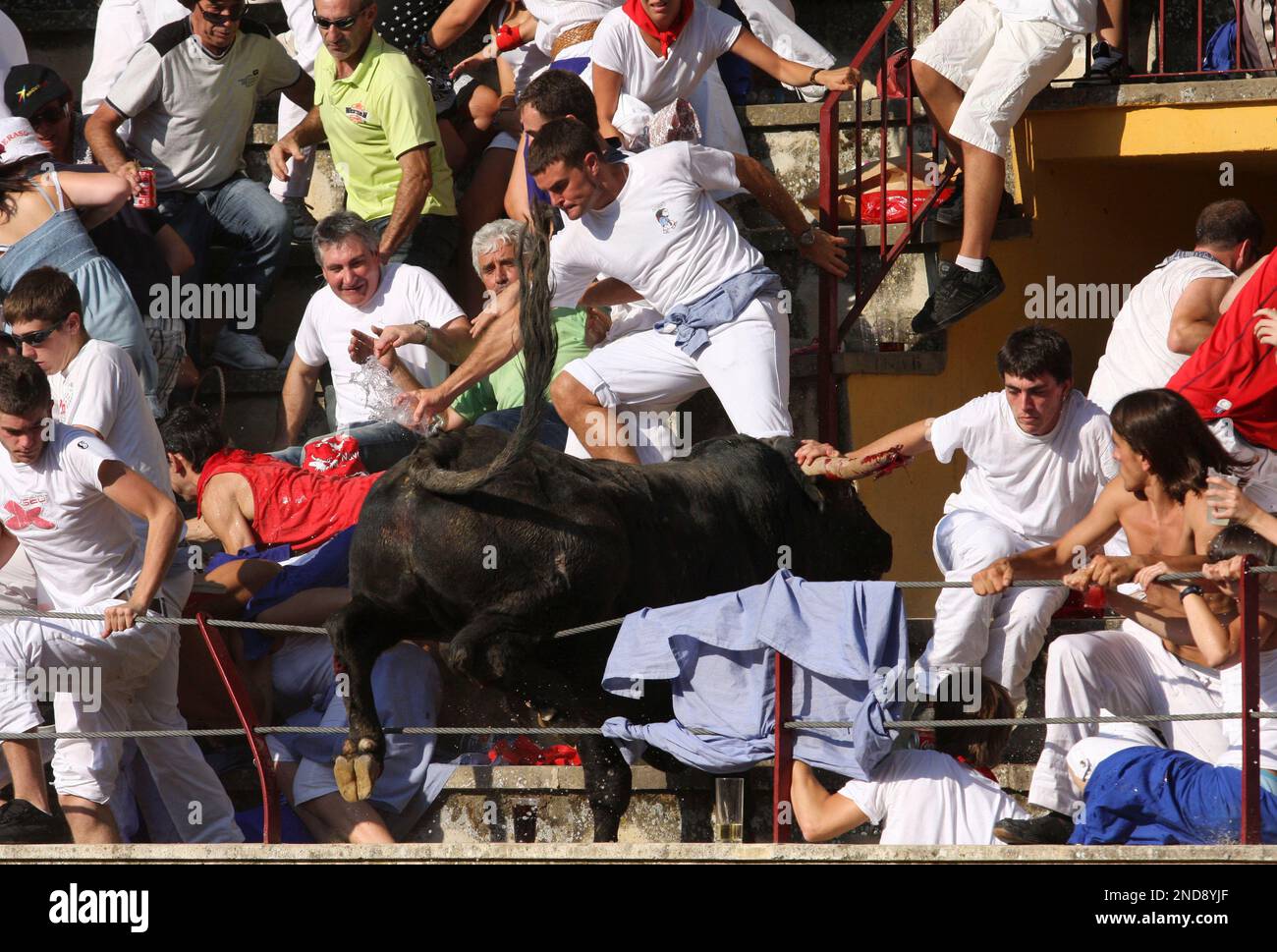 In this Wednesday, Aug. 18, 2010 picture made available Thursday, Aug ...