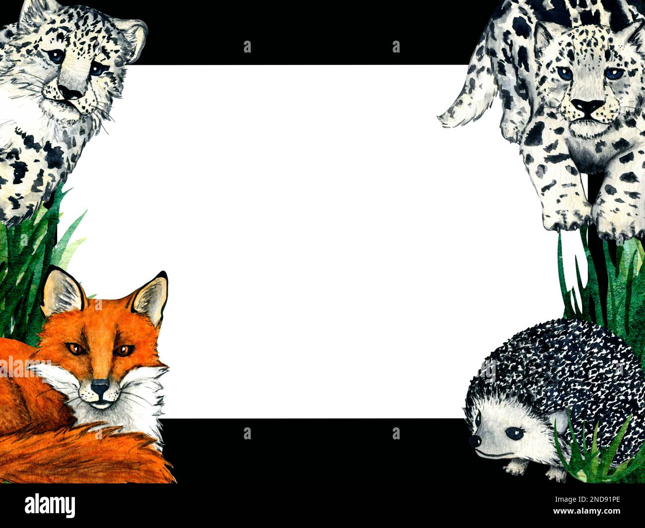 Watercolor frame of snow leopard, fox, hedgehog isolated on white ...