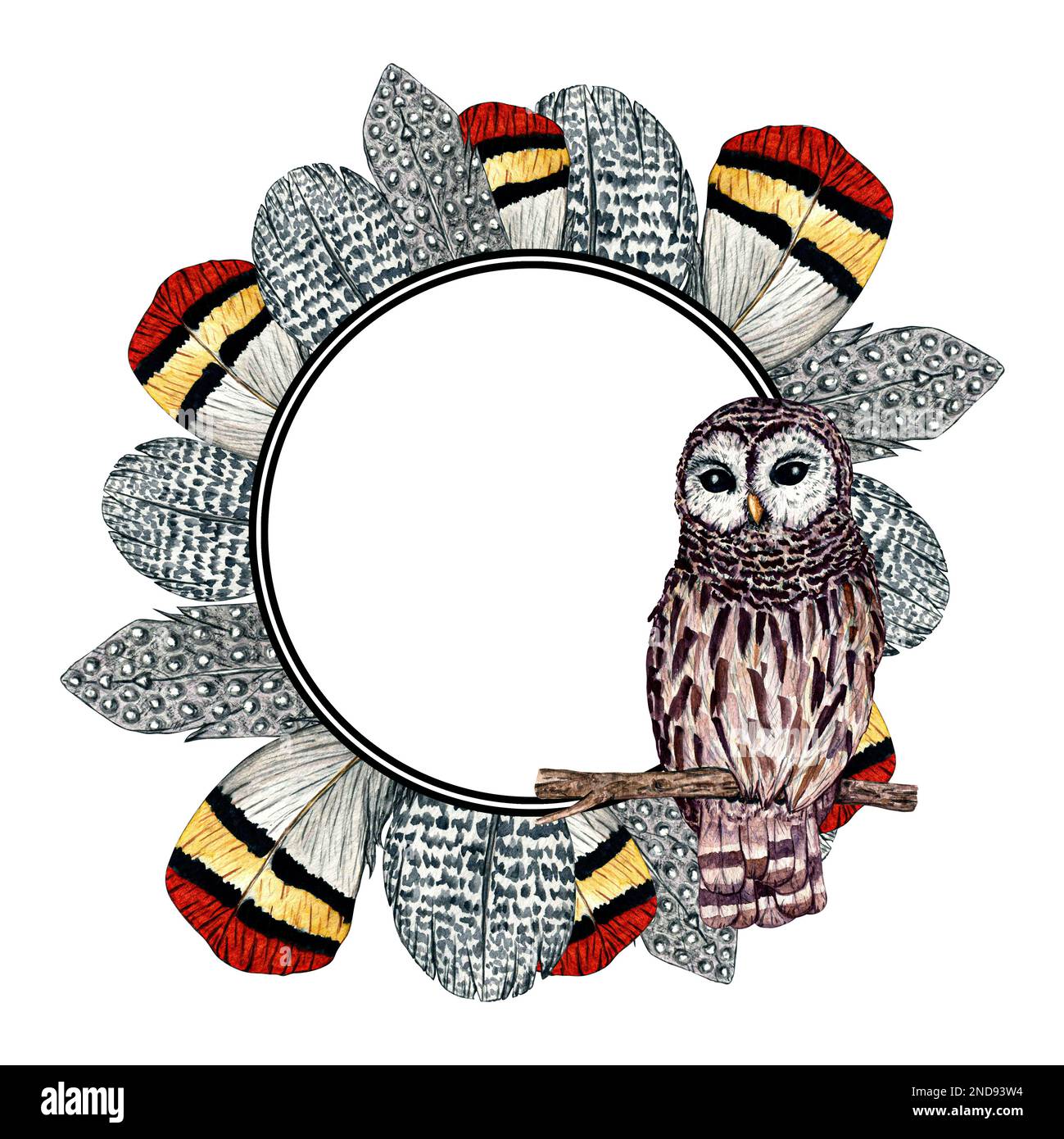 Watercolor frame of feathers owl isolated on white background. Clip art ...