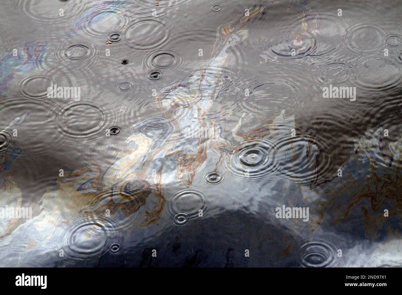 Rain falls on oil sheen on the surface of the Gulf of Mexico near the ...