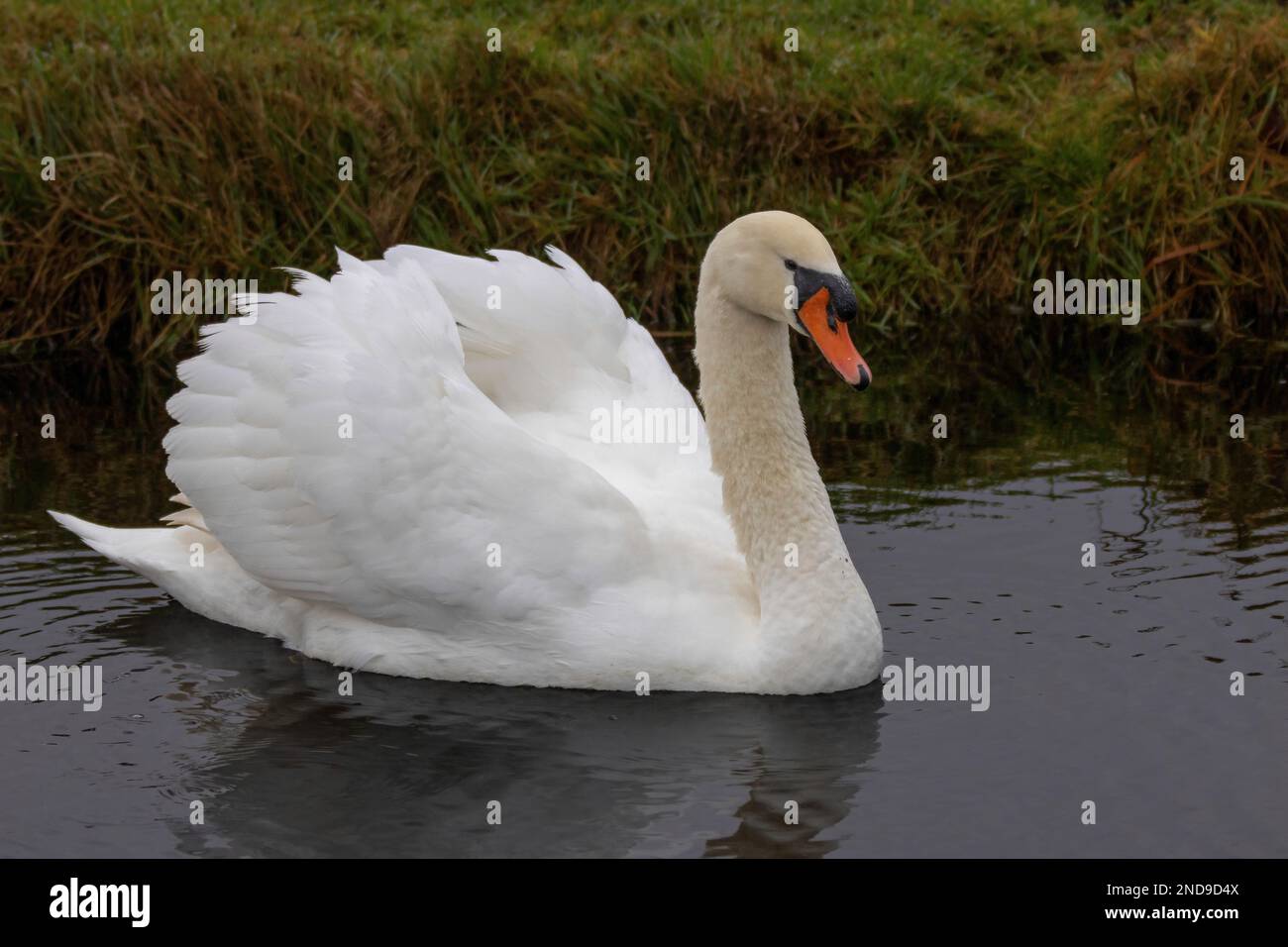 Shelters wildlife hi-res stock photography and images - Alamy