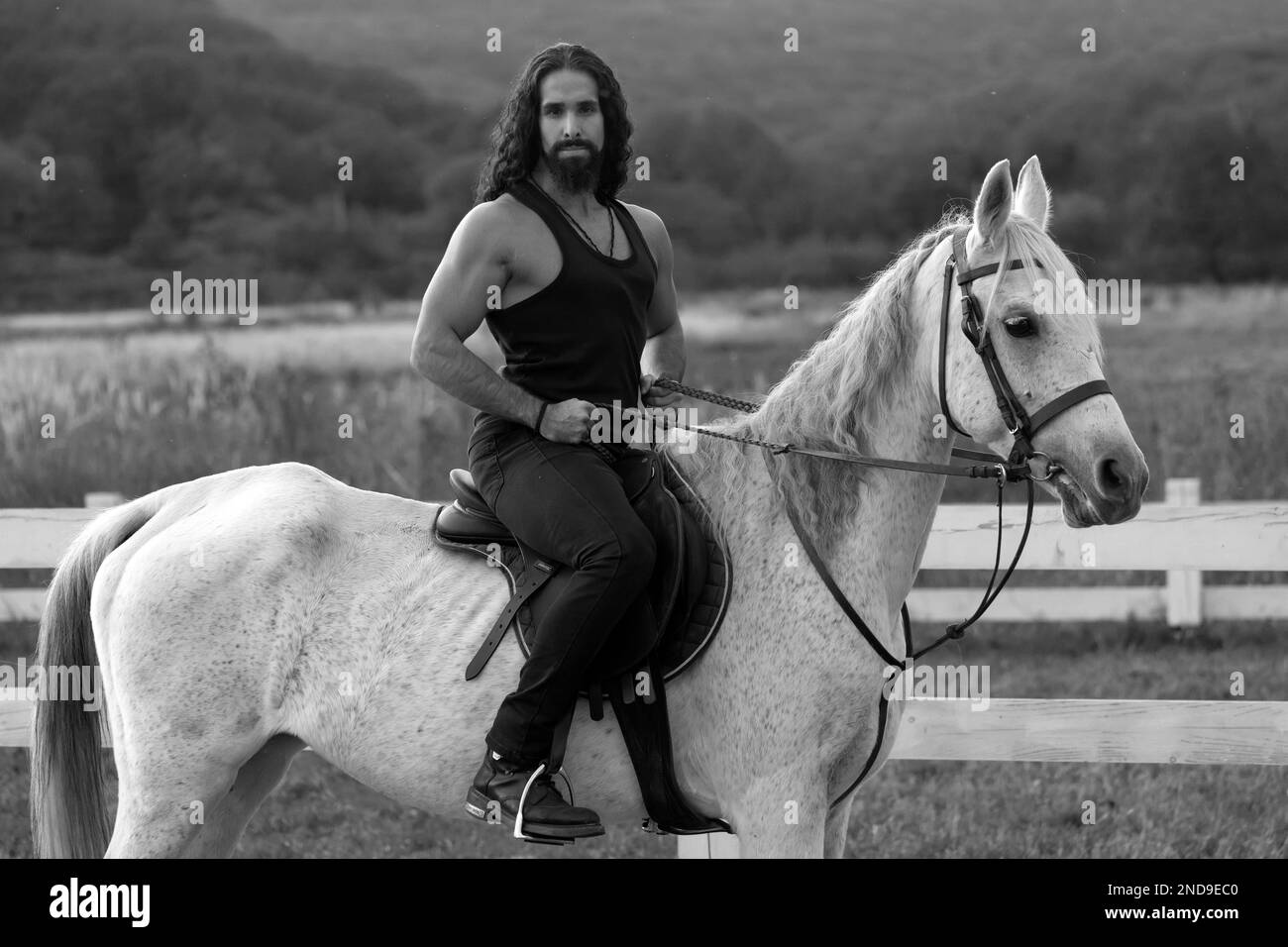 Beautiful horse with man rider trotting on autumnal field. Equestrian ...