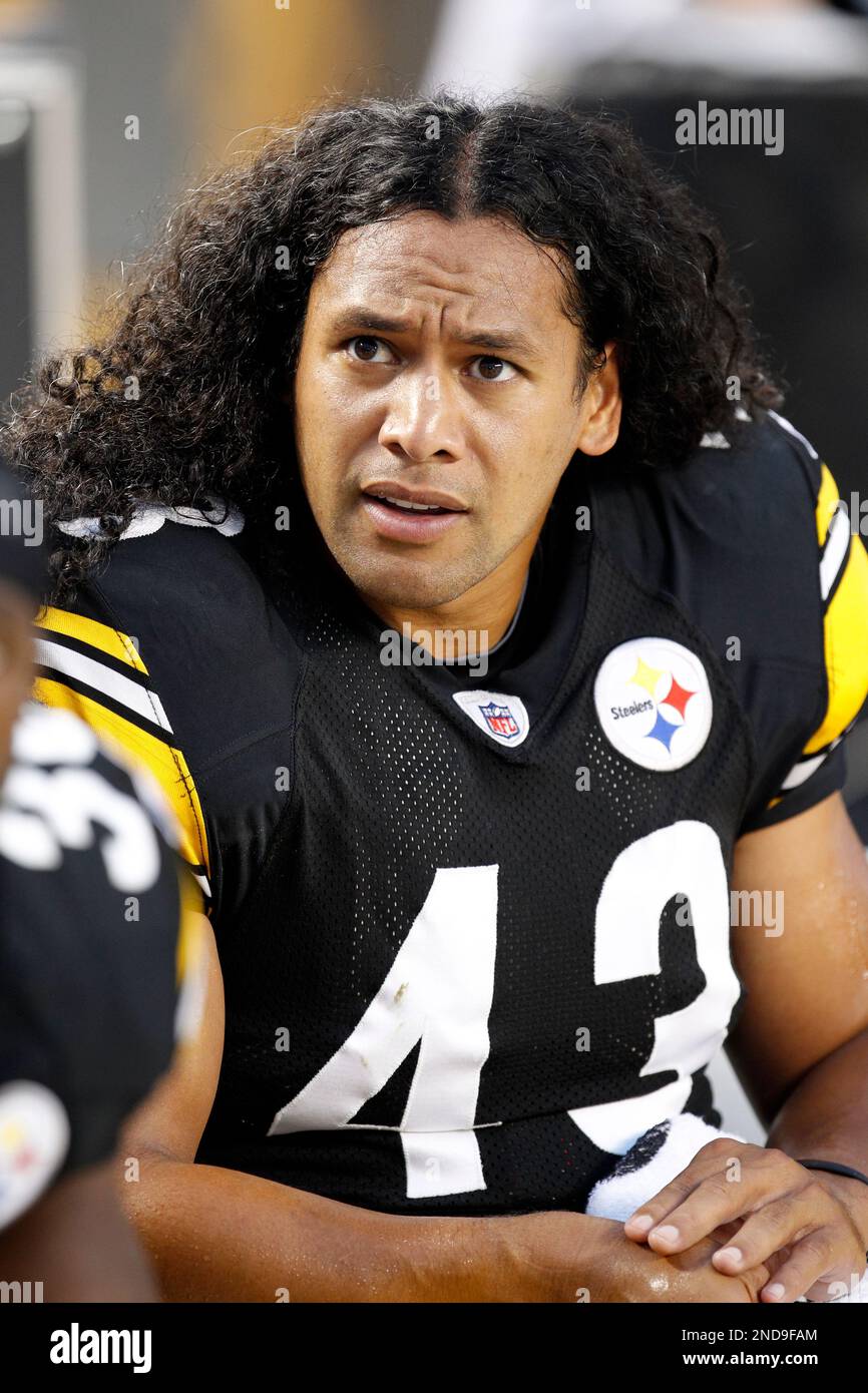 Pittsburgh Steelers safety Troy Polamalu sits on the sidelines during ...