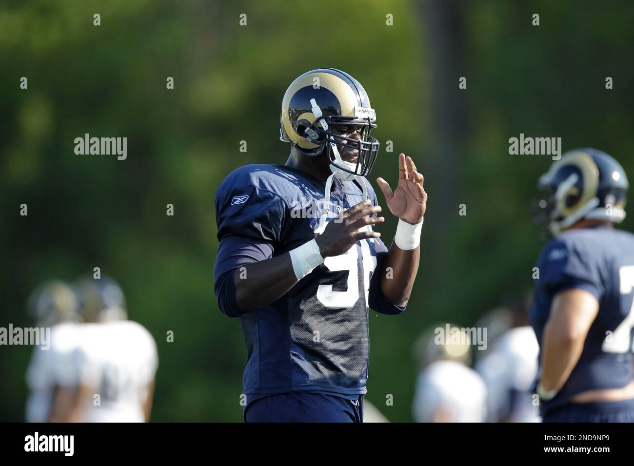 St. Louis Rams defensive end James Hall is seen during NFL football ...